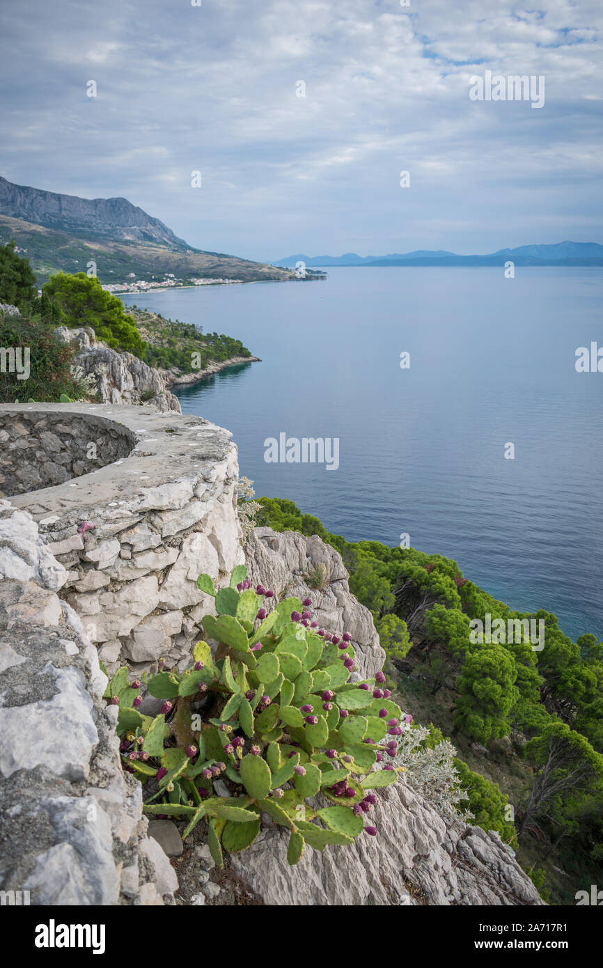 Osejava park hi-res stock photography and images - Alamy