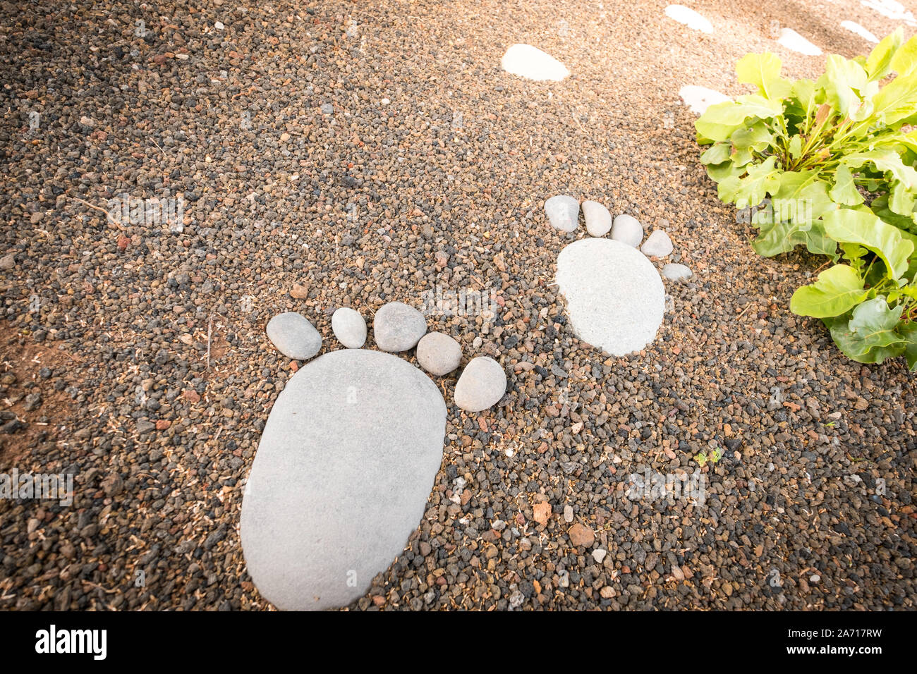 Pebble stone path walkway hi-res stock photography and images - Alamy