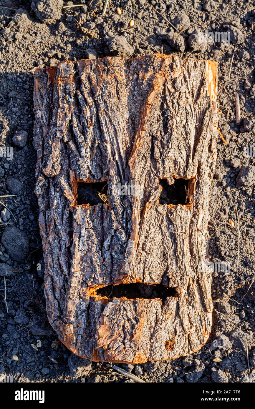 mask of scandinavian god carved from bark Stock Photo - Alamy