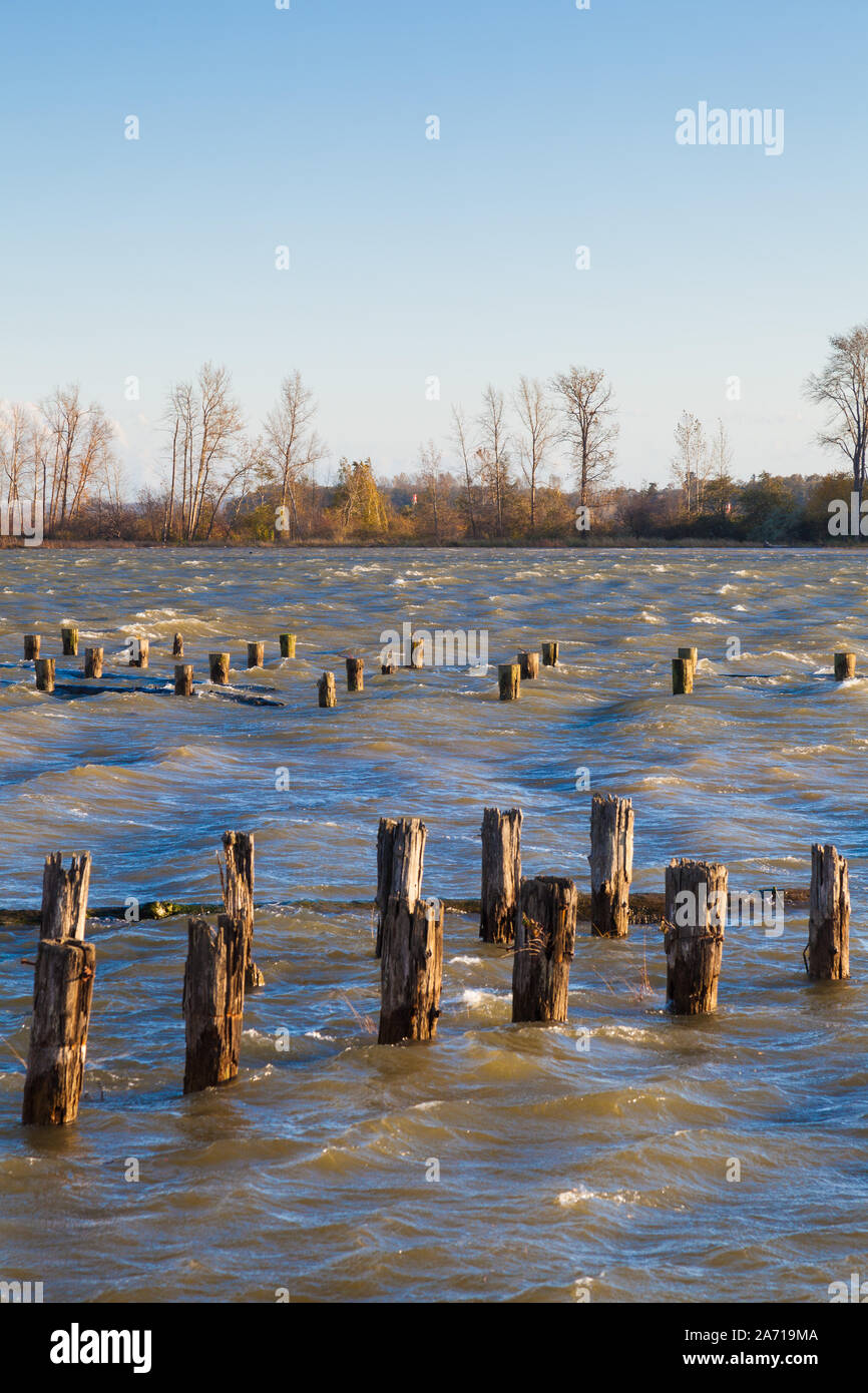 Wind Gale Force High Resolution Stock Photography and Images - Alamy