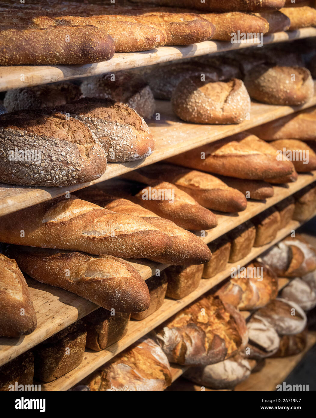 Freshly baked bread on bakery shelves. Bread diversity in bright light ...