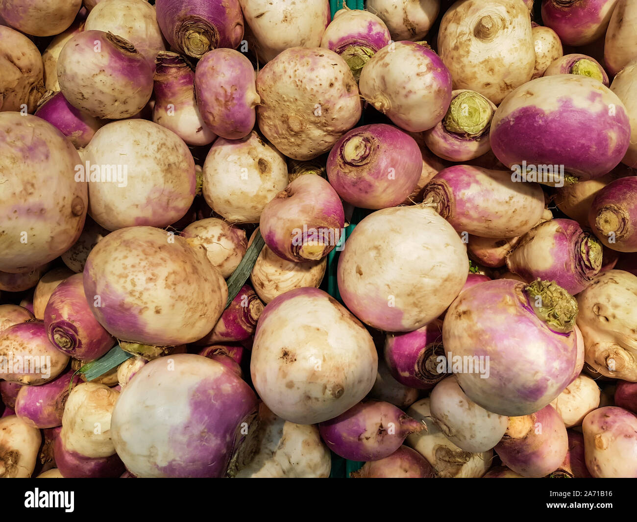 Top view of pile of turnips Stock Photo - Alamy