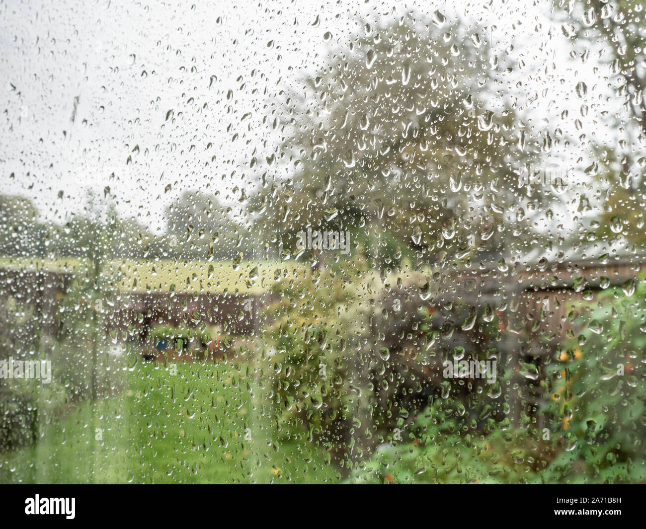 Green garden seen through rain splattered window Stock Photo - Alamy