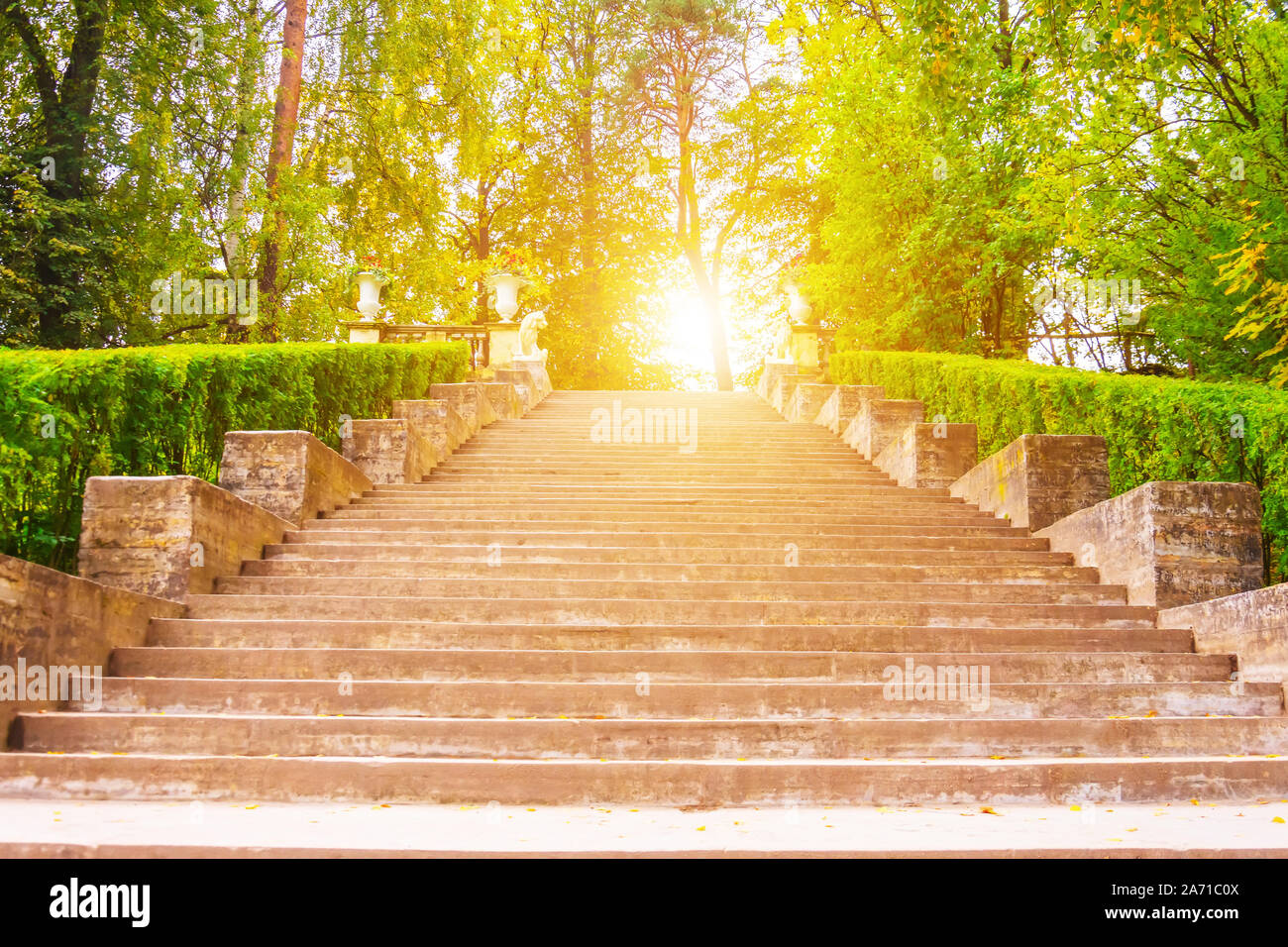 Wide staircase looking up in the park with bright light Stock Photo - Alamy
