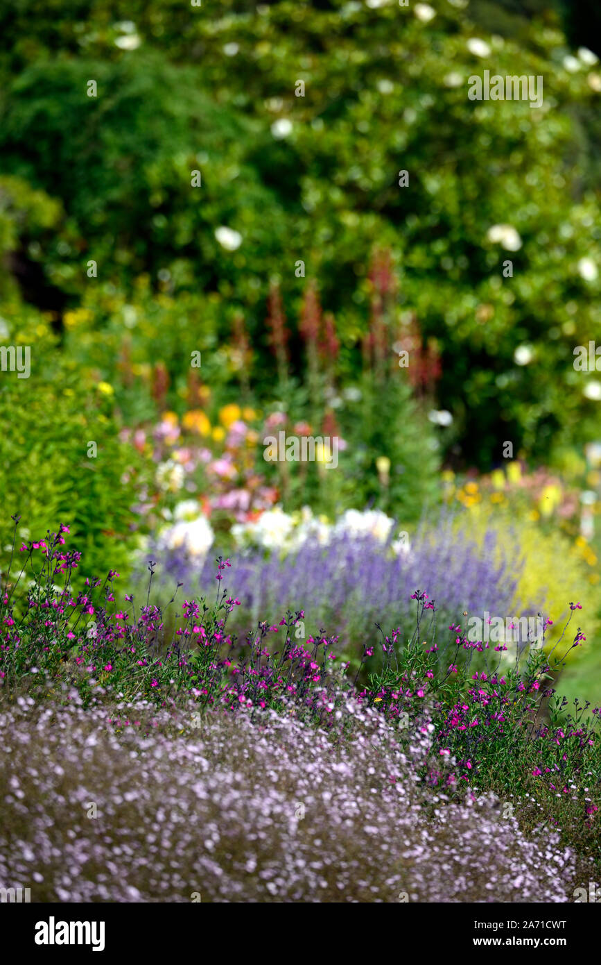 Royale red hi-res stock photography and images - Alamy