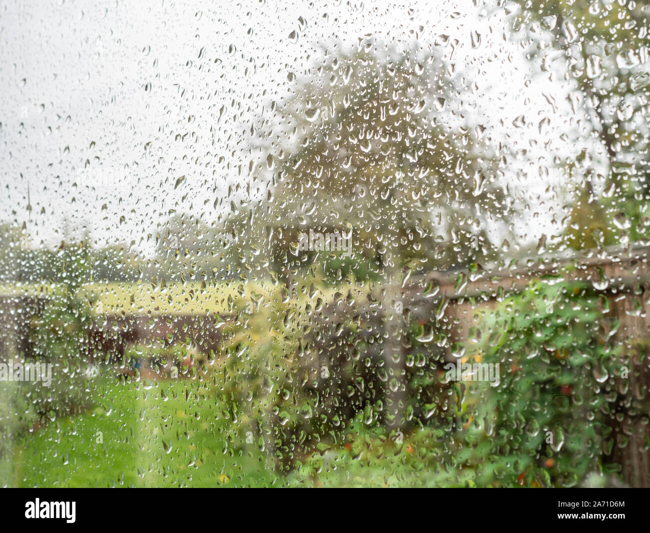Green garden seen through rain splattered window Stock Photo - Alamy