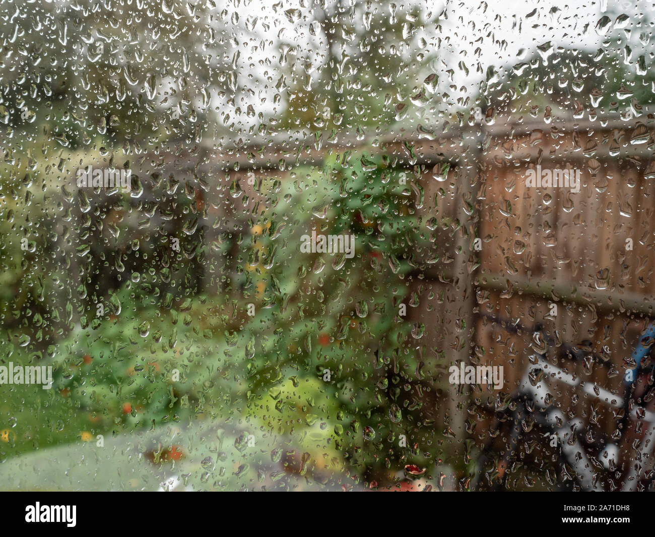 Green garden seen through rain splattered window Stock Photo - Alamy