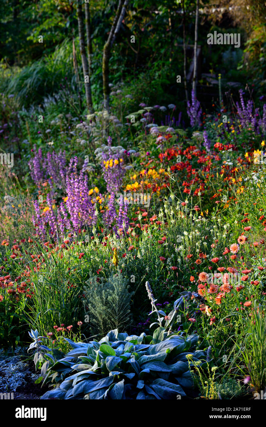 Hunting Brook Gardens,Wicklow,Ireland,Jimi Blake,Plantsman,Garden ...