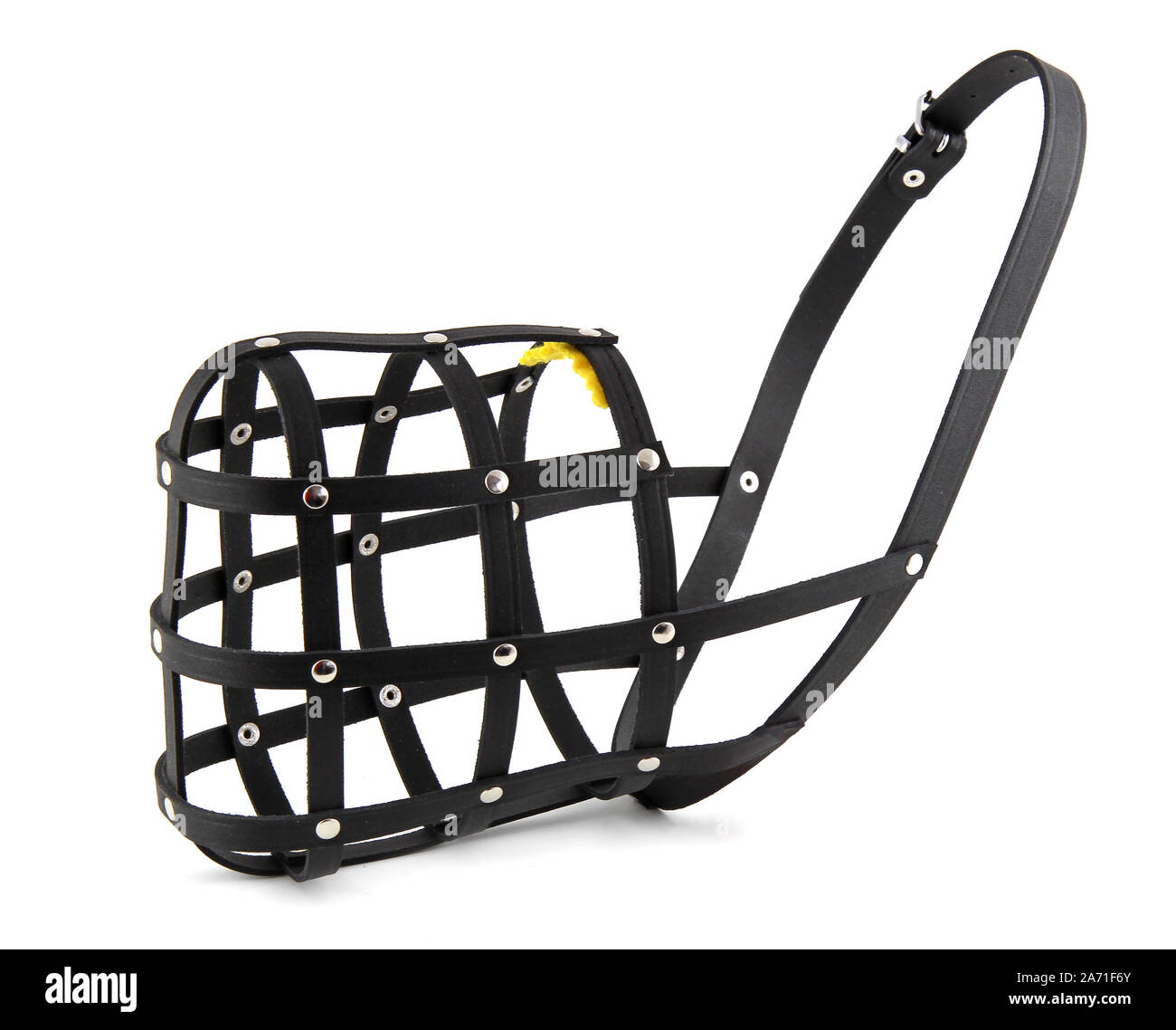 Aggressive Dog Muzzle High Resolution Stock Photography and Images - Alamy