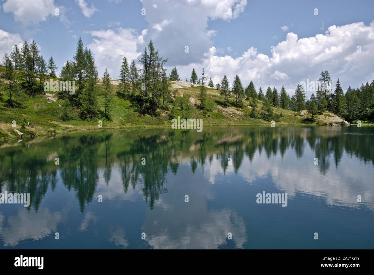 Underwater reflection of trees hi-res stock photography and images - Alamy