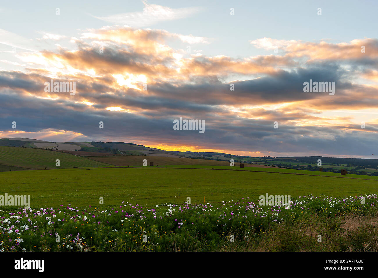 Warm scenery hi-res stock photography and images - Alamy