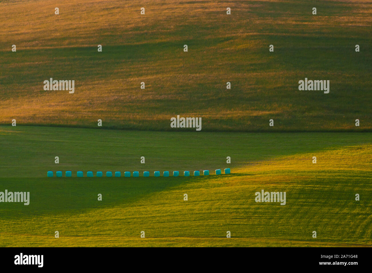 Hay stacks on wavy field during golden hour Stock Photo - Alamy
