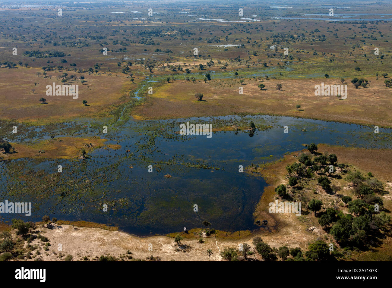 Aerial view of a small part of the Okavango Delta in northern Botswana ...