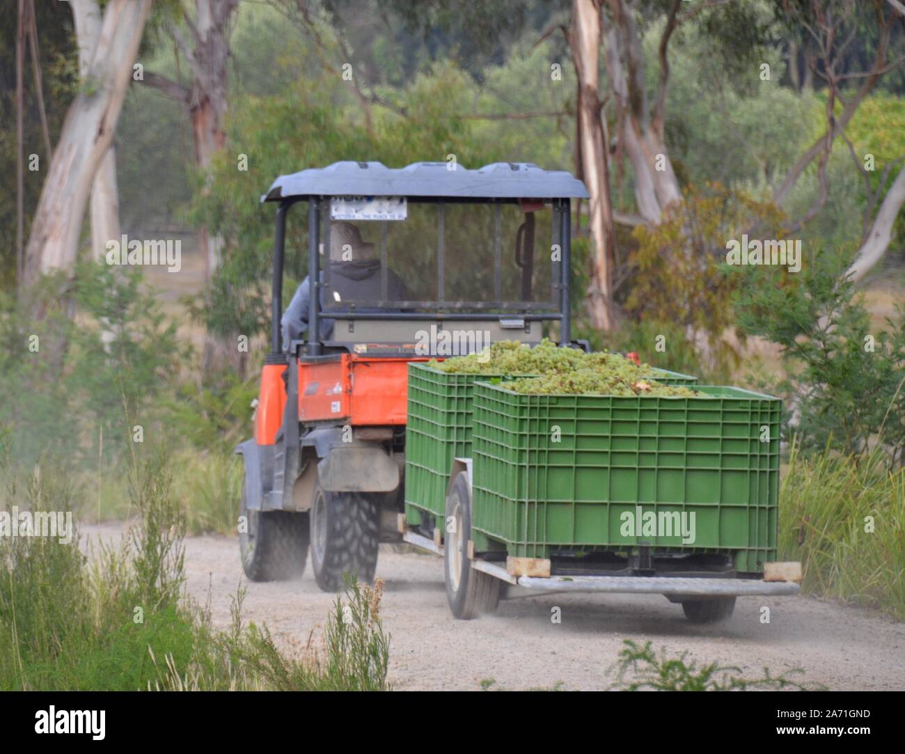 Harvest vehicle hi-res stock photography and images - Alamy