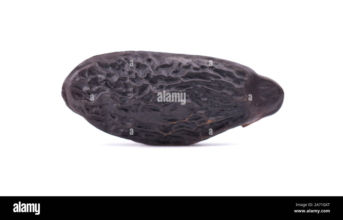 Tonka beans isolated on white background. Bean of Dipteryx odorata ...