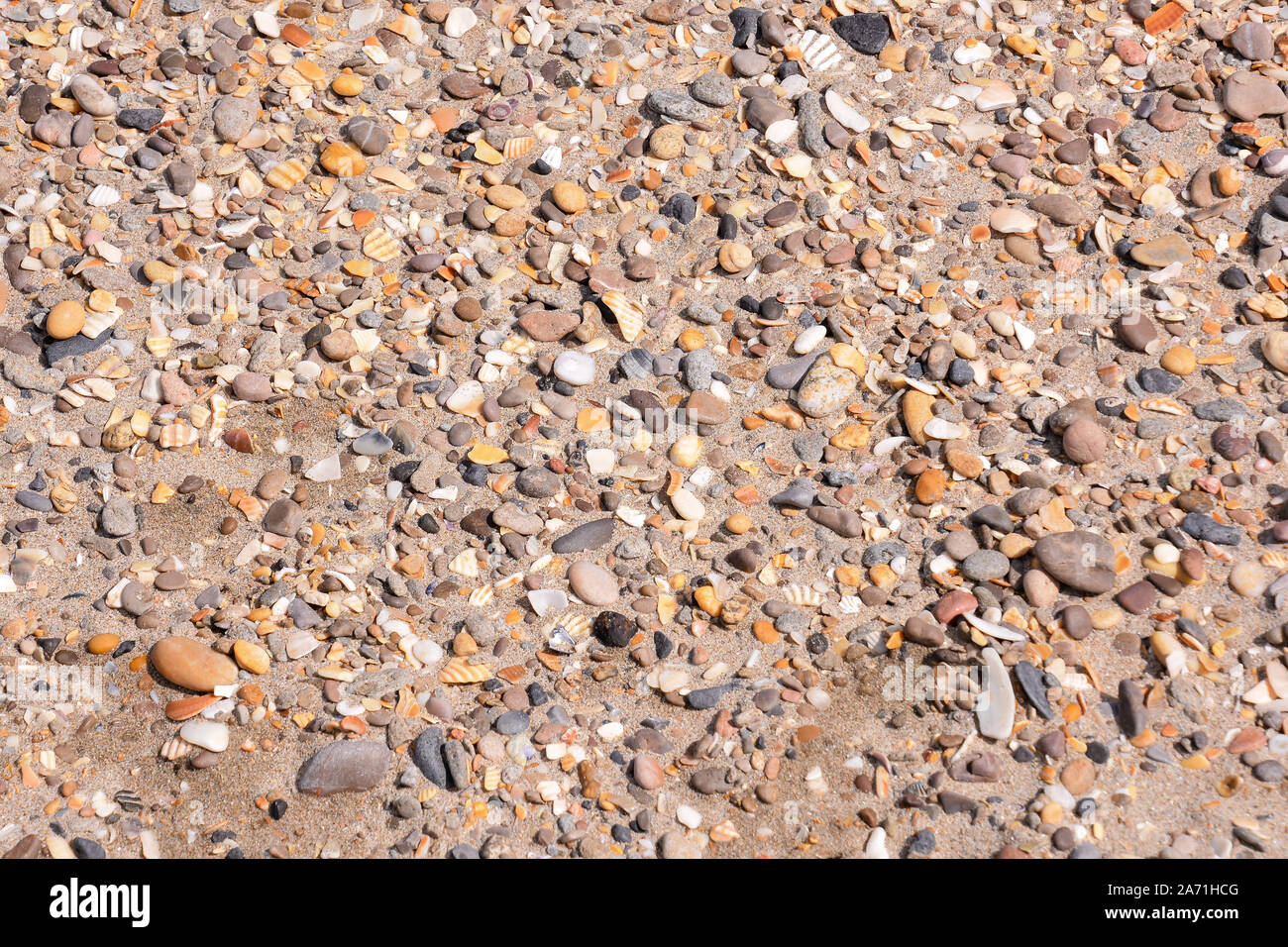 Photo picture texture sea shells and rocks on sand background Stock ...