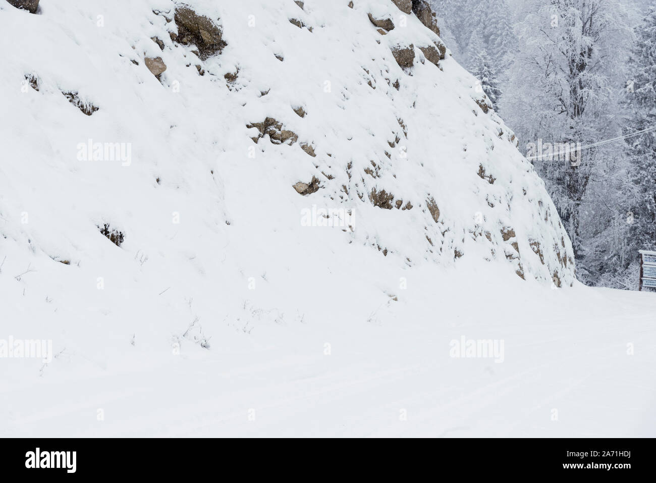 Landscape view of snowy hills with pine trees Stock Photo - Alamy