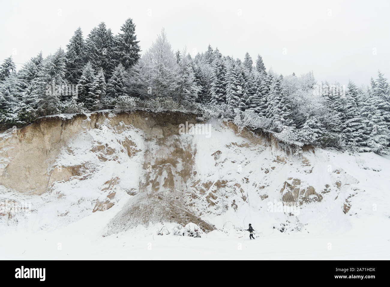 Landscape view of snowy hills with pine trees Stock Photo - Alamy