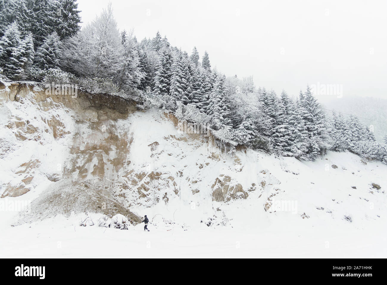 Landscape view of snowy hills with pine trees Stock Photo - Alamy