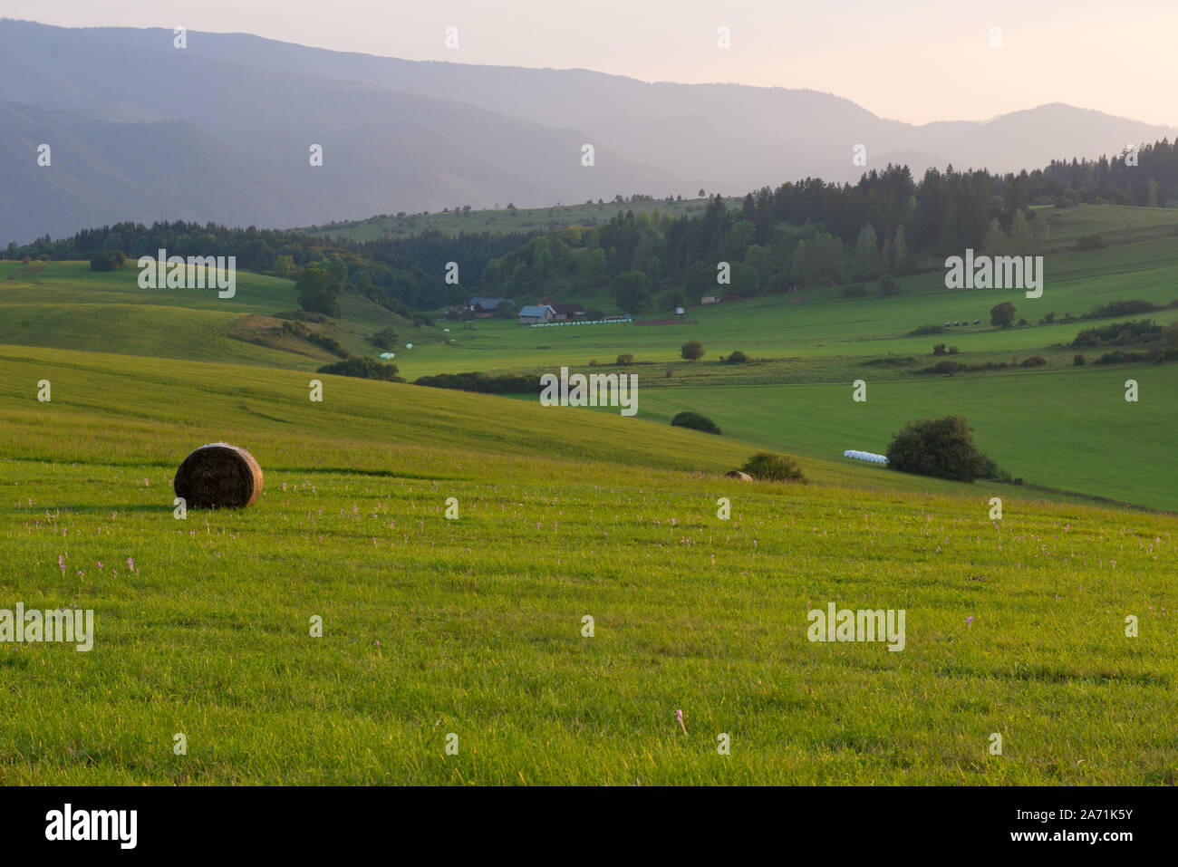 Farmer slovakia hi-res stock photography and images - Alamy