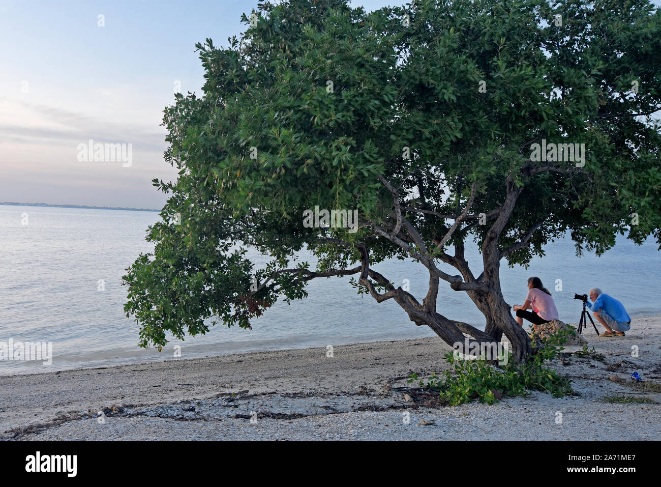 laura litterio real estate photography Stock Photo - Alamy