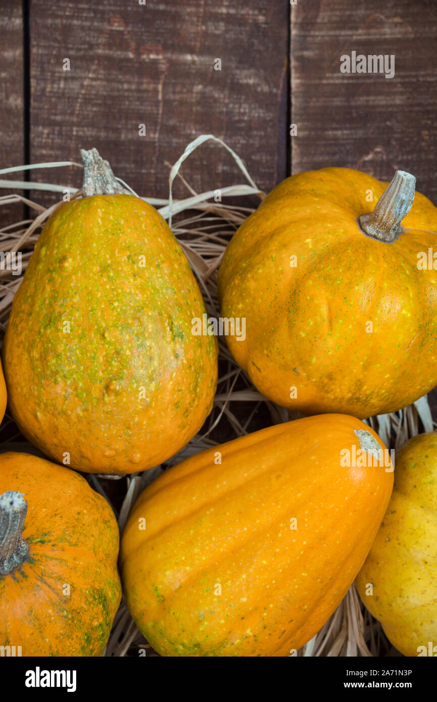 Close-up photo with mini pumpkins on rustic wooden background, overhead ...