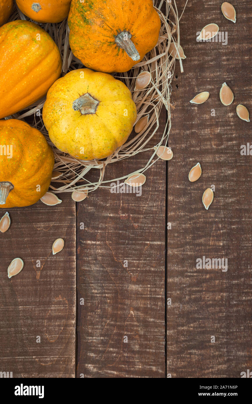 Close-up photo with mini pumpkins and seeds on rustic wooden background ...