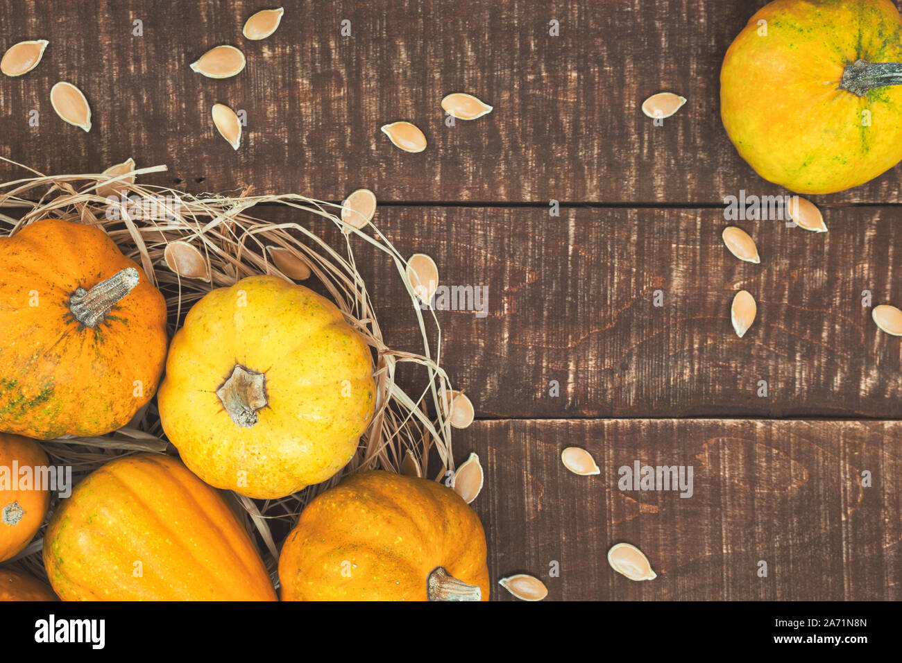 Close-up photo with mini pumpkins and seeds on rustic wooden background ...