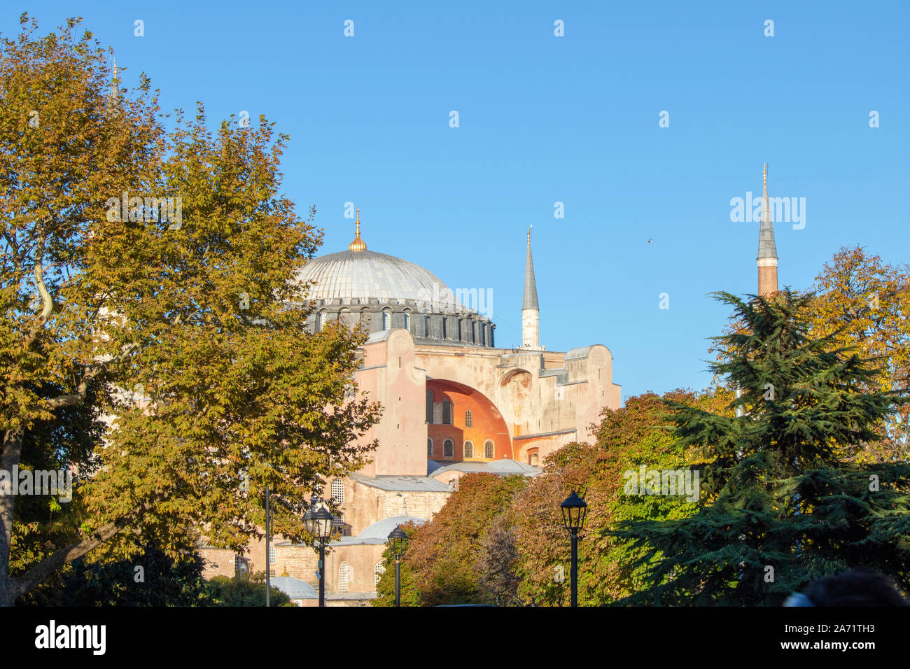 Hagia Sophia mosque in trees from view Stock Photo - Alamy