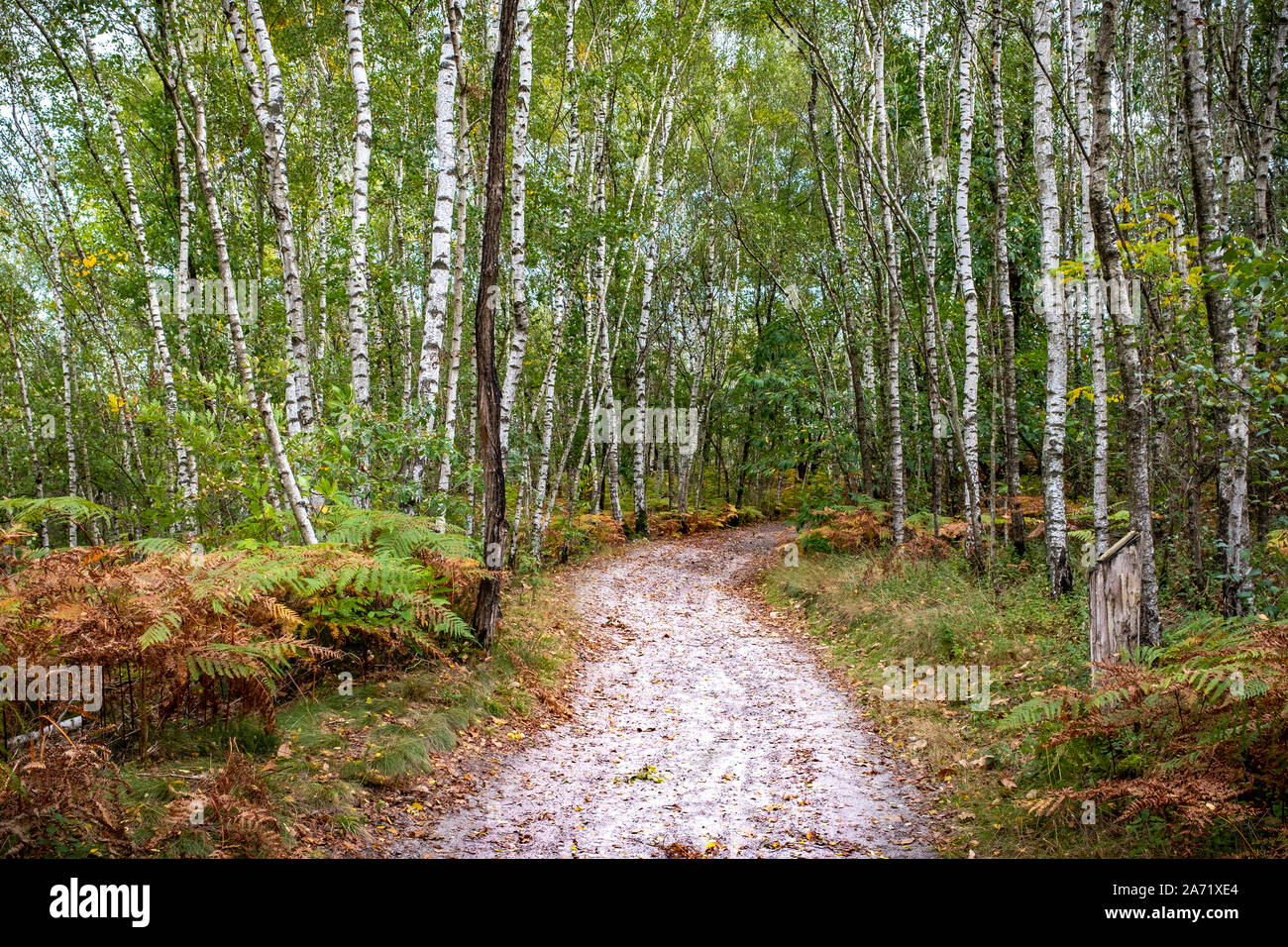 Sandy trail hi-res stock photography and images - Alamy