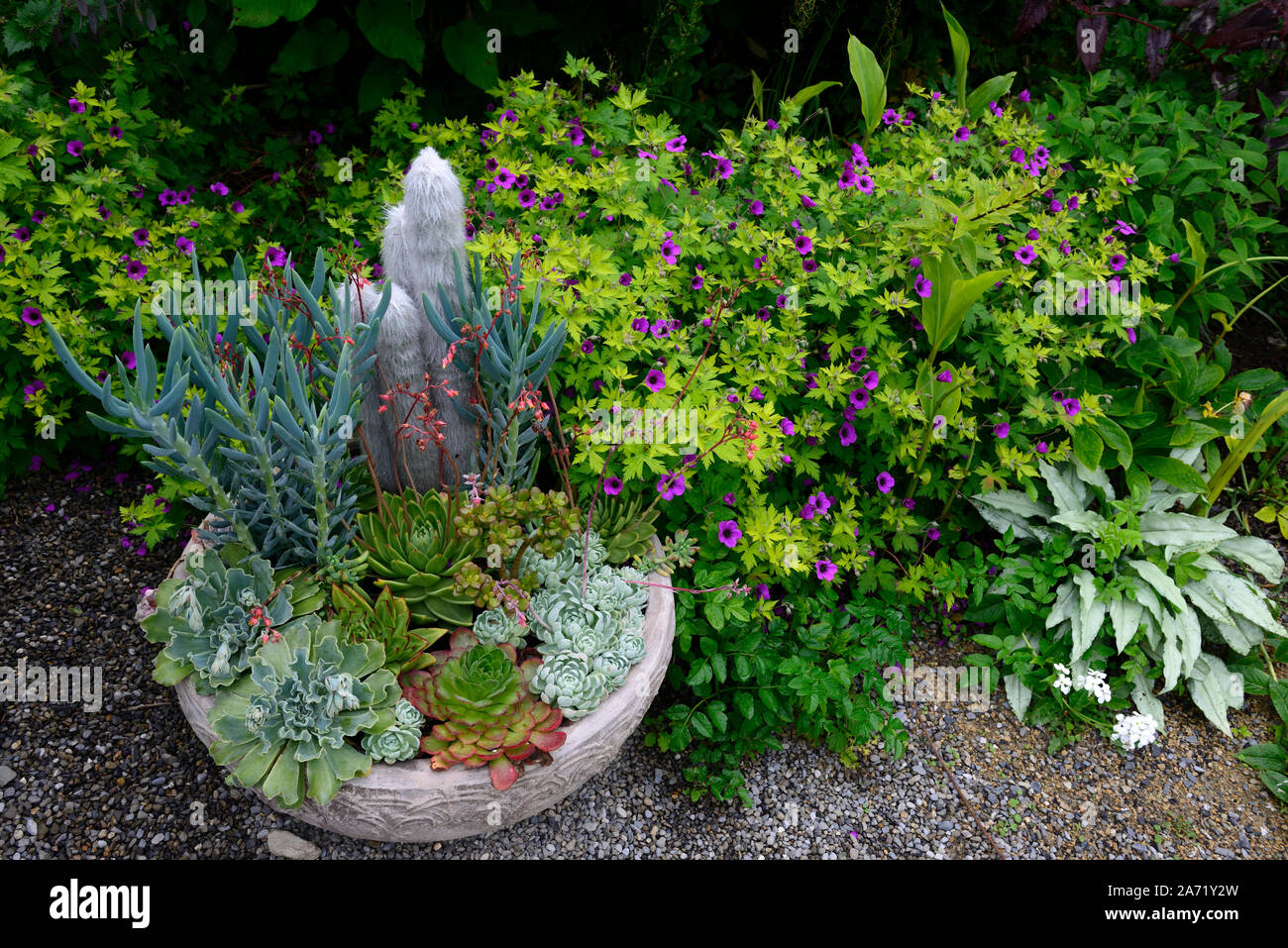 Trough container hi-res stock photography and images - Alamy