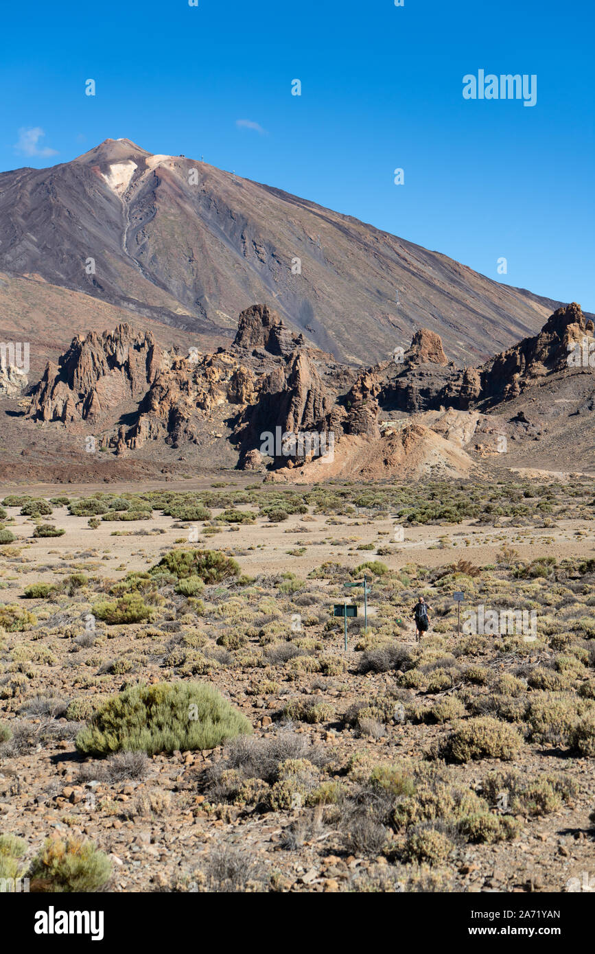 Teide Volcano National Park in Tenerife Stock Photo - Alamy