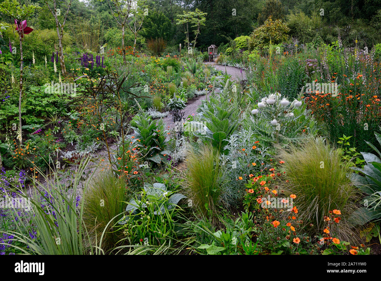 Hunting Brook Gardens,Wicklow,Ireland,Jimi Blake,Plantsman,Garden ...
