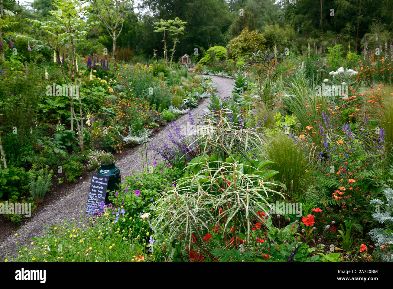 Hunting Brook Gardens,Wicklow,Ireland,Jimi Blake,Plantsman,Garden ...