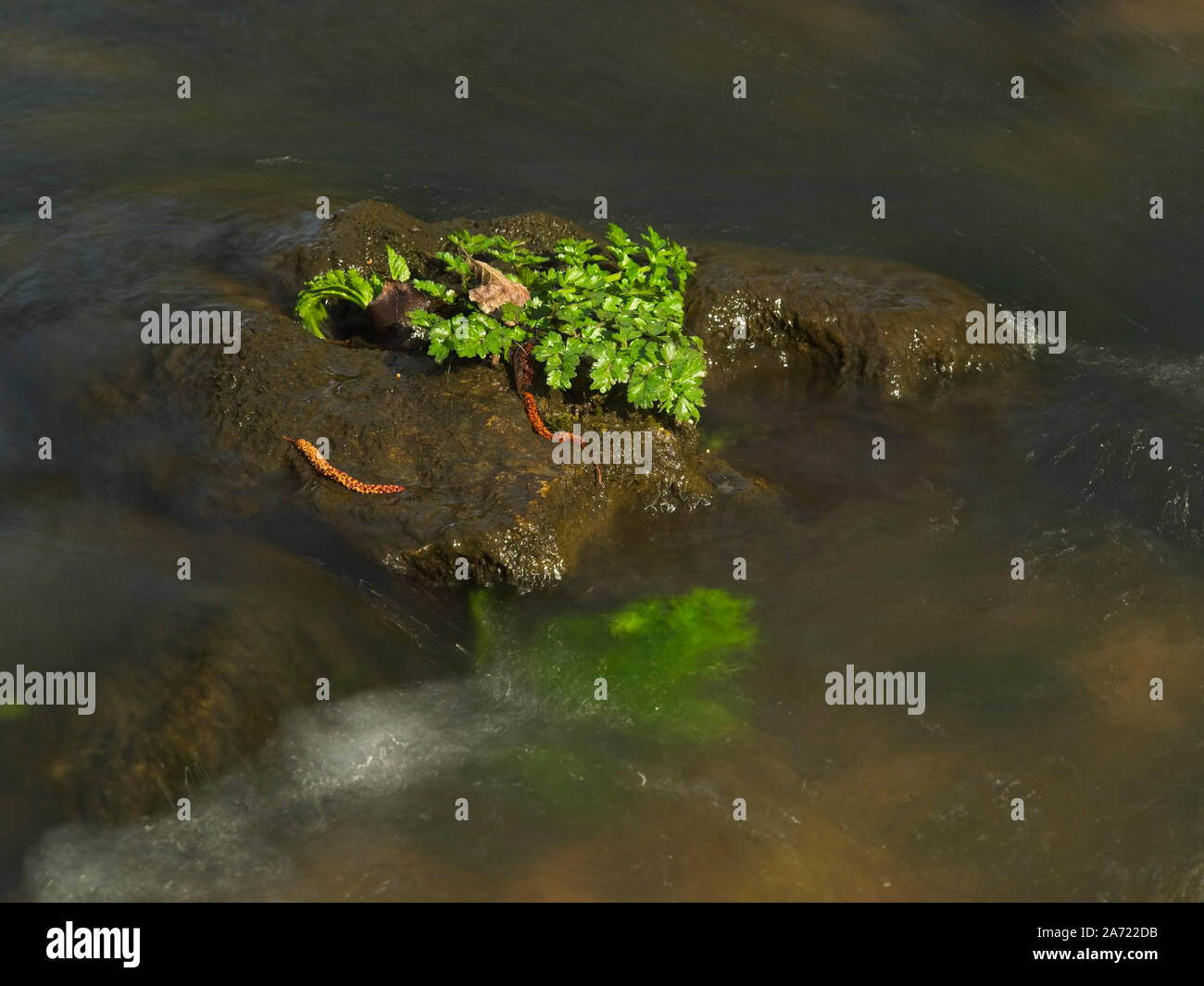 Duraton river hi-res stock photography and images - Alamy