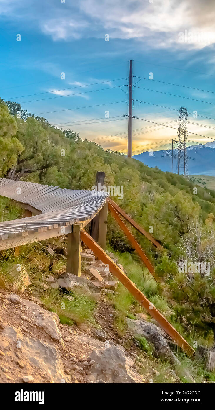 Vertical Wooden struts supporting an elevated boardwalk in bushes Stock ...