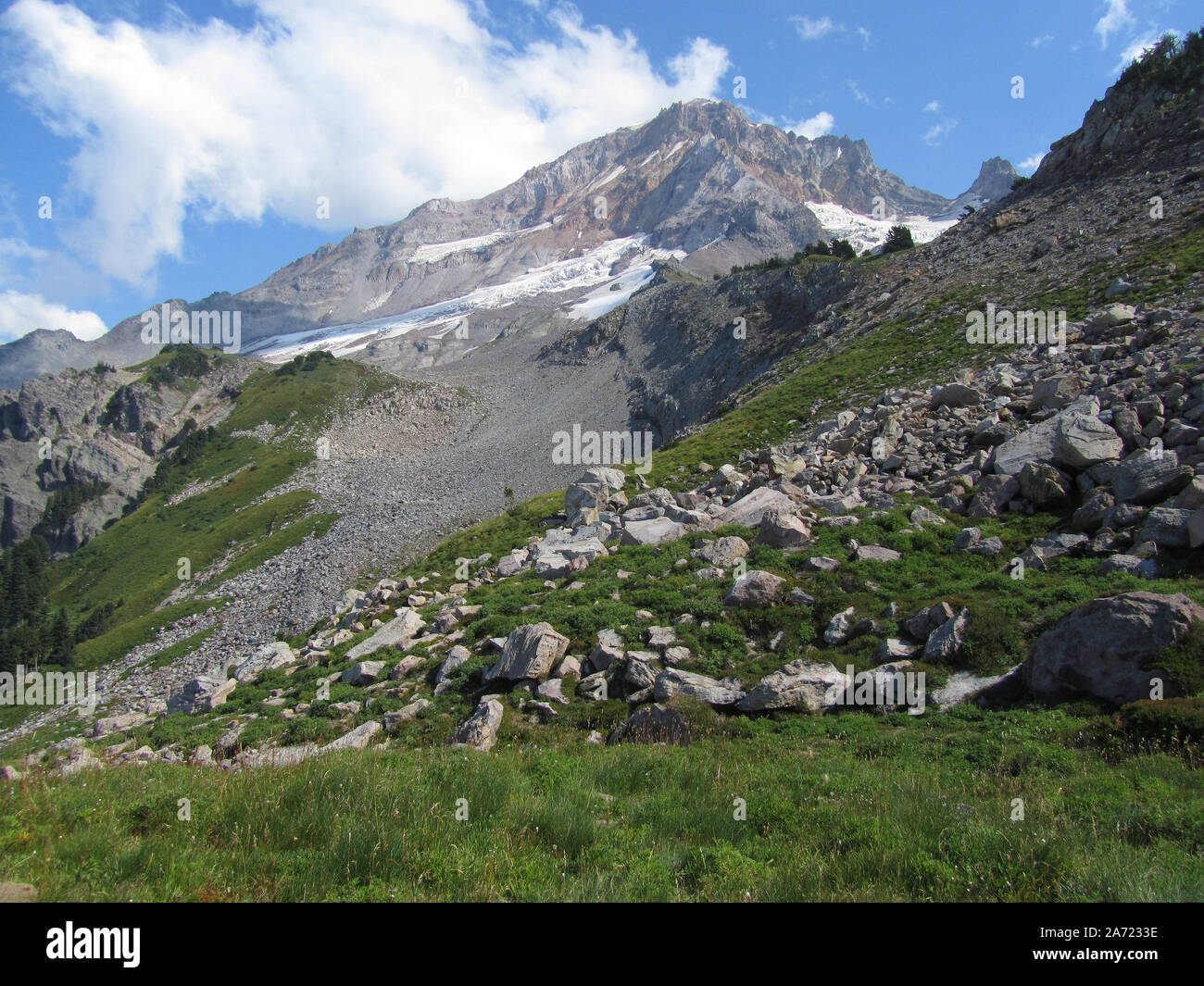 Mountain ridge with trees and glacier hi-res stock photography and ...