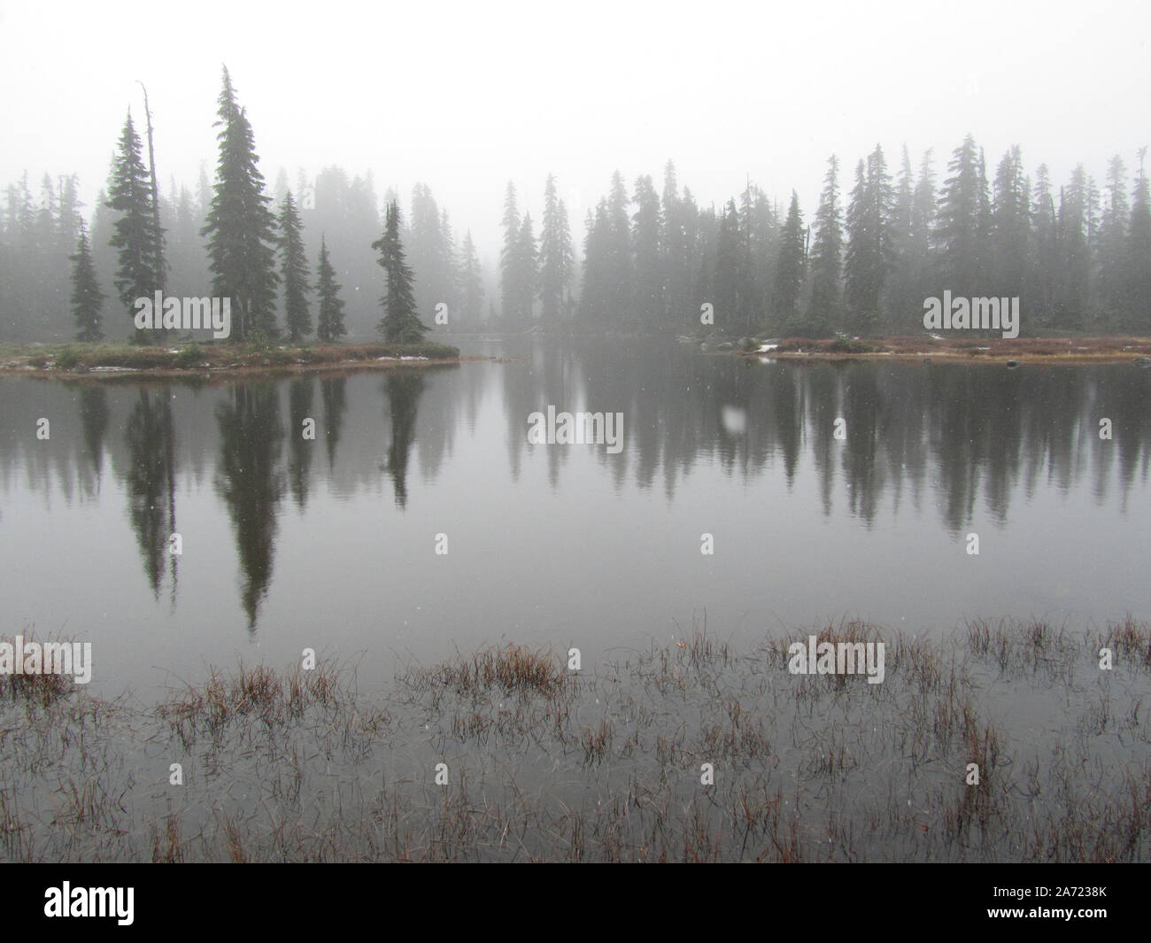 Fall at Rock Lake in the Indian Heaven Wilderness on a snowy, foggy day ...