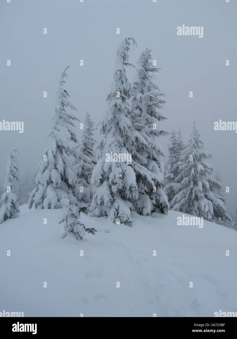 Snow ghost tree hi-res stock photography and images - Alamy