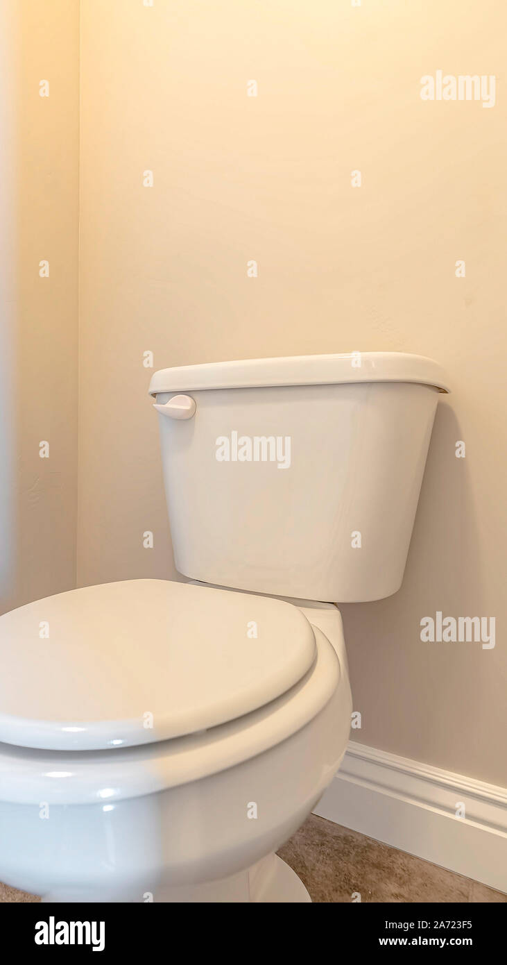 Vertical White toilet and cistern in a bathroom Stock Photo - Alamy