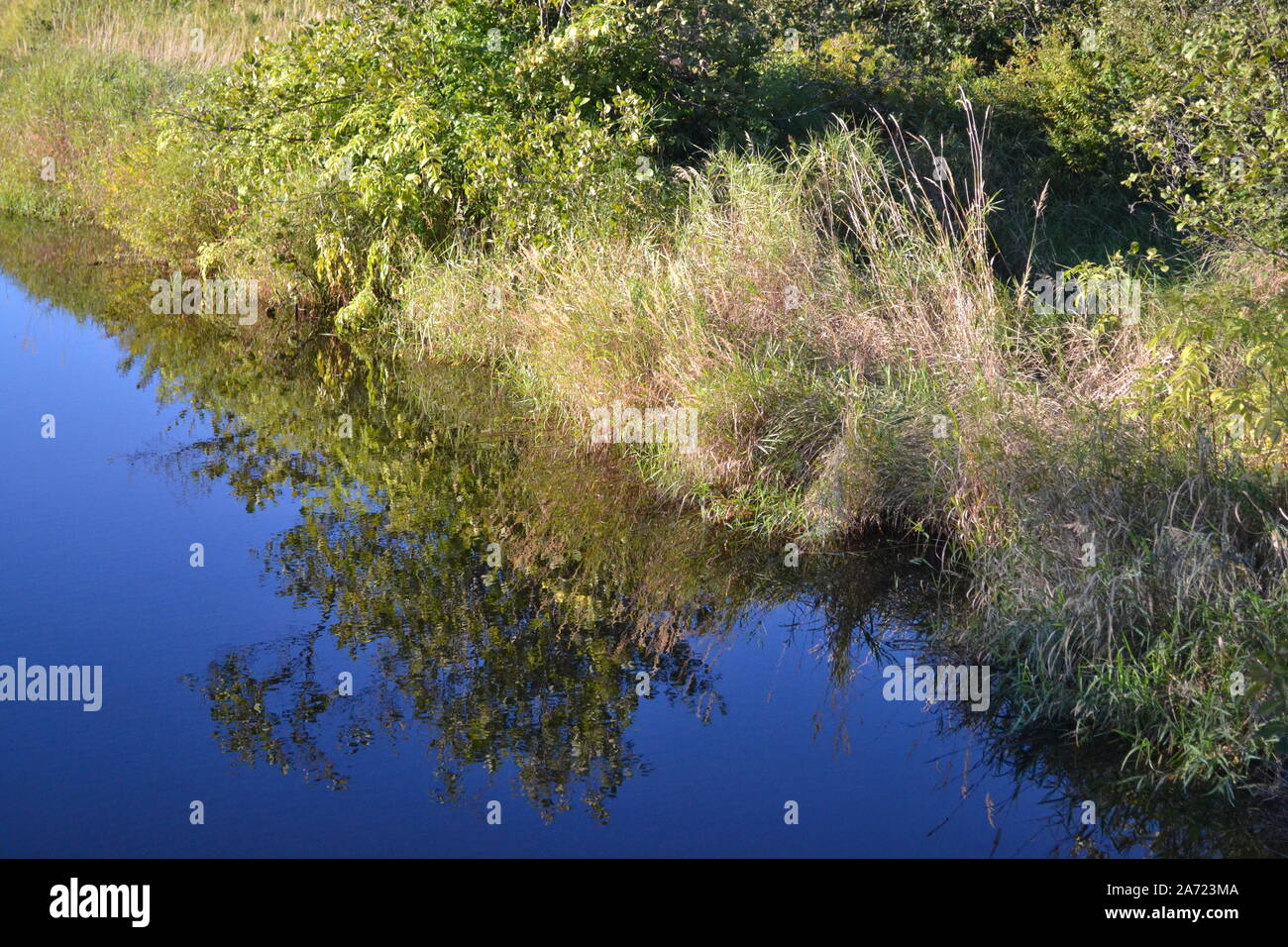 Grassy banks hi-res stock photography and images - Alamy