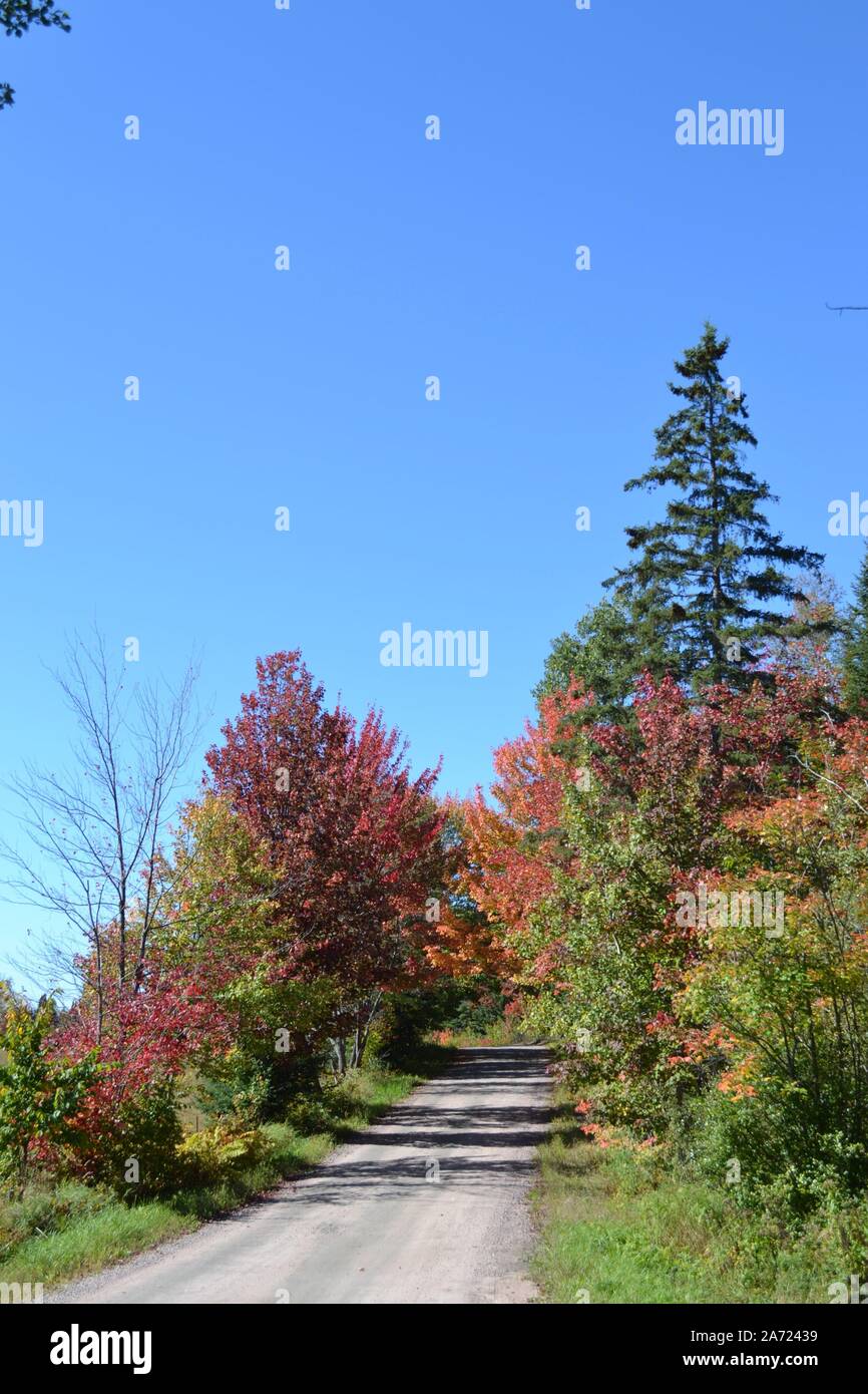 country road in fall Stock Photo - Alamy