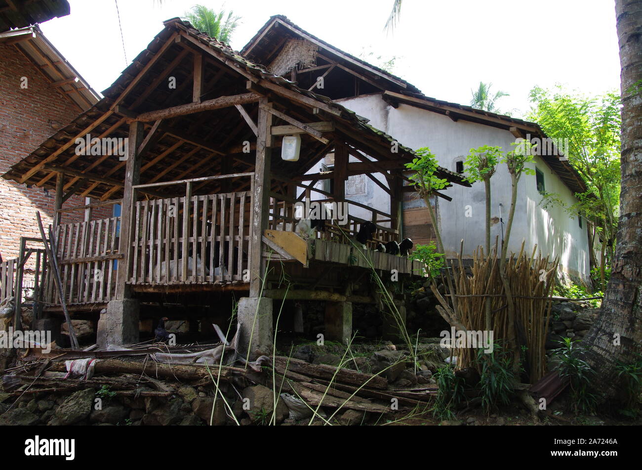 Java village hi-res stock photography and images - Alamy