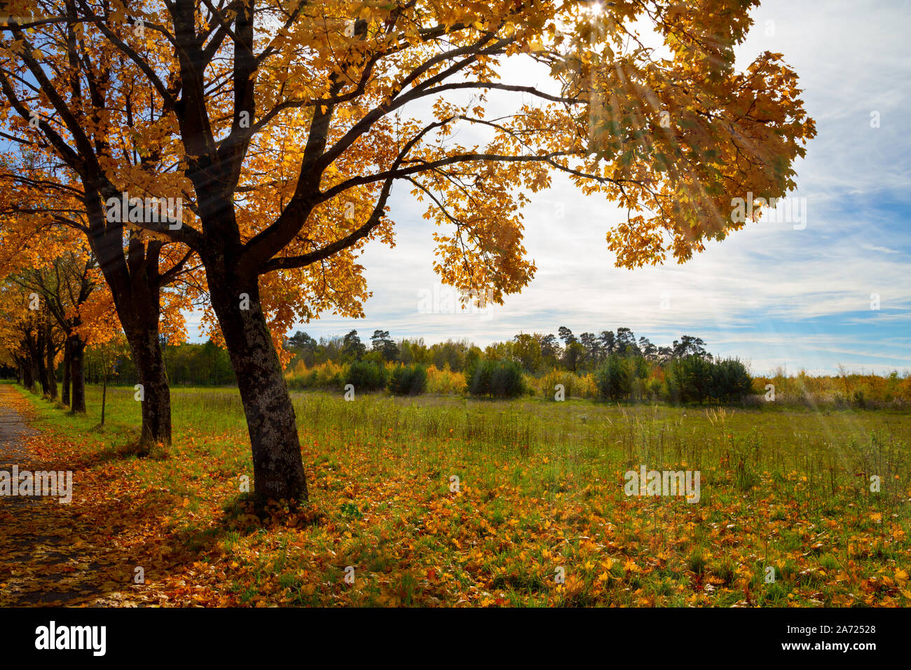 Beauty color environment hi-res stock photography and images - Alamy