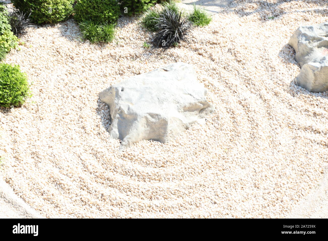 Zen garden pattern on sand and stone. Top view. Meditation and harmony ...