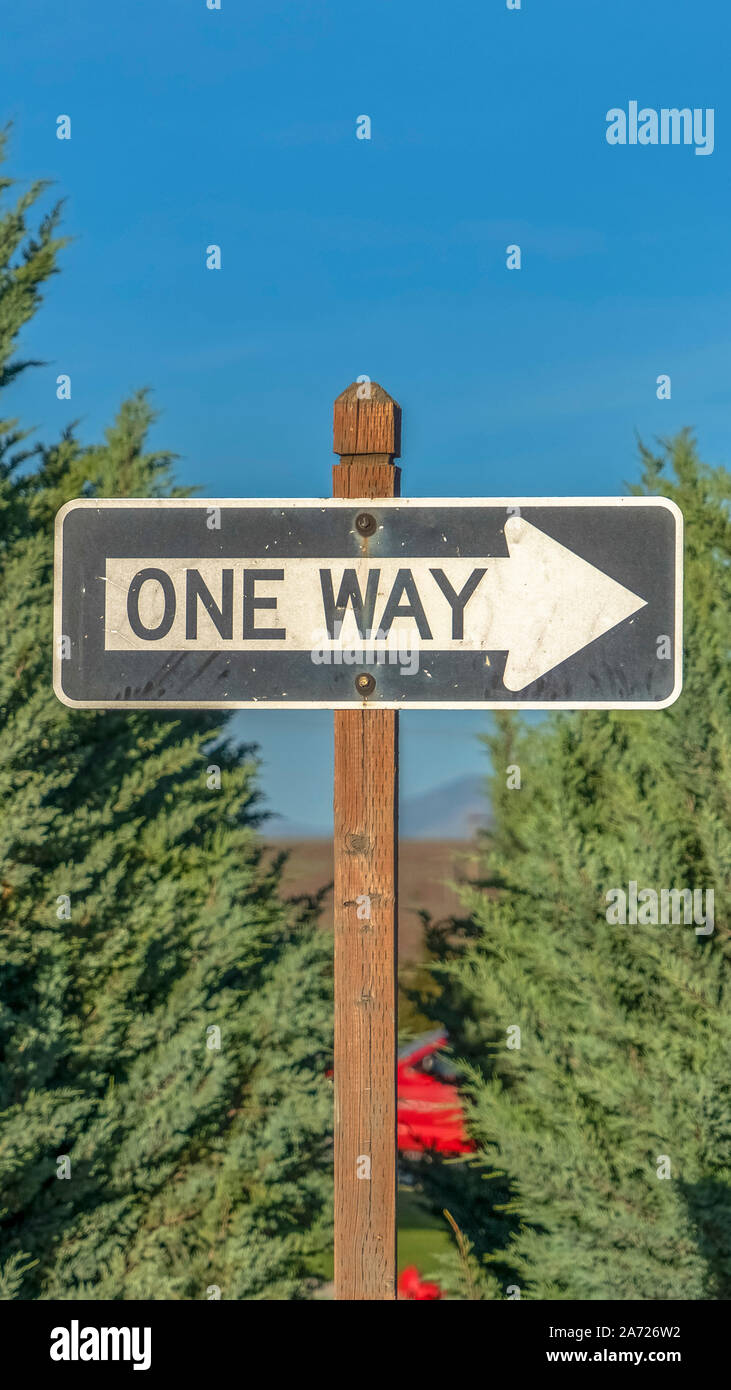 Vertical Close up of a One Way road sign against tree leaves and blue ...