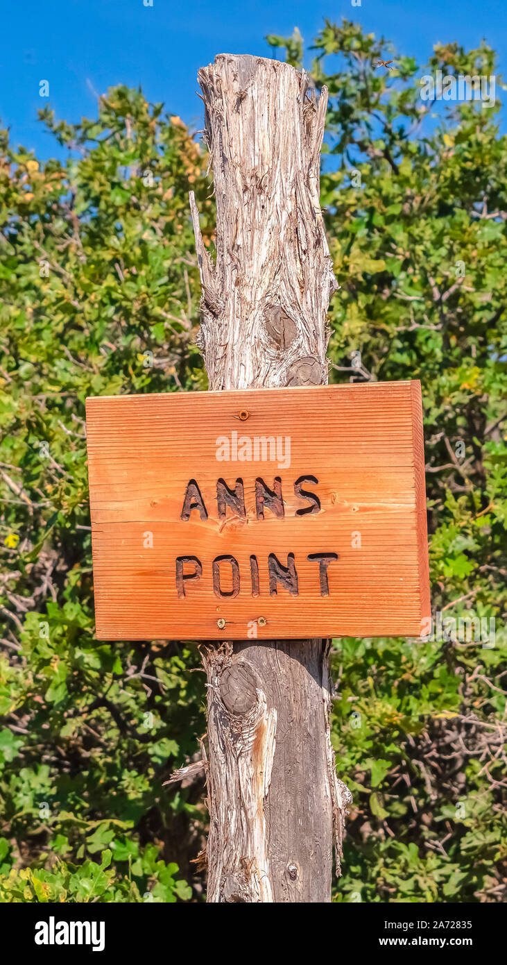 Vertical Close up of an engraved wooden Anns Point sign against green ...