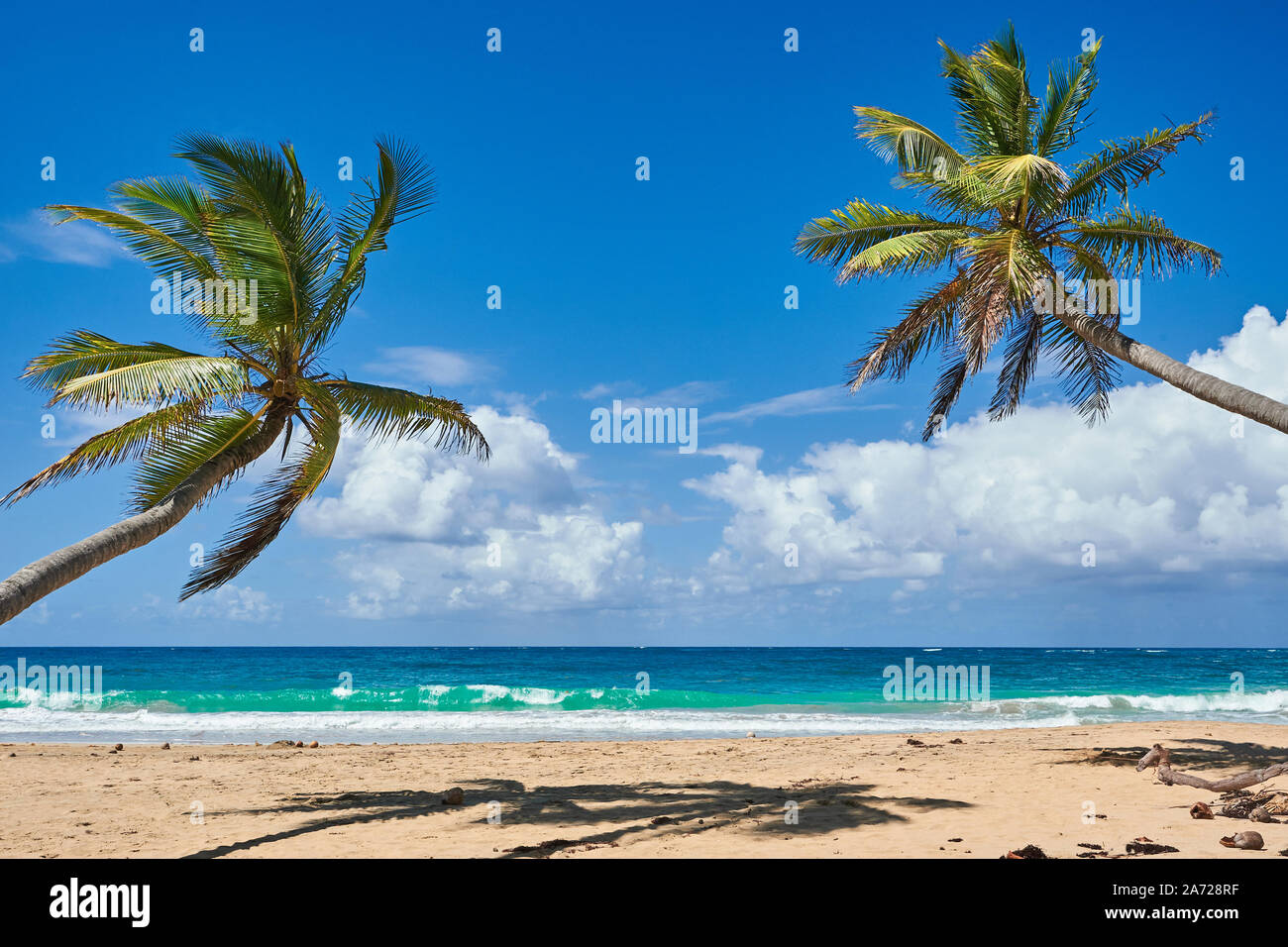 Palm Beach In Tropical Idyllic Paradise Island - Caribbean - Dominican ...