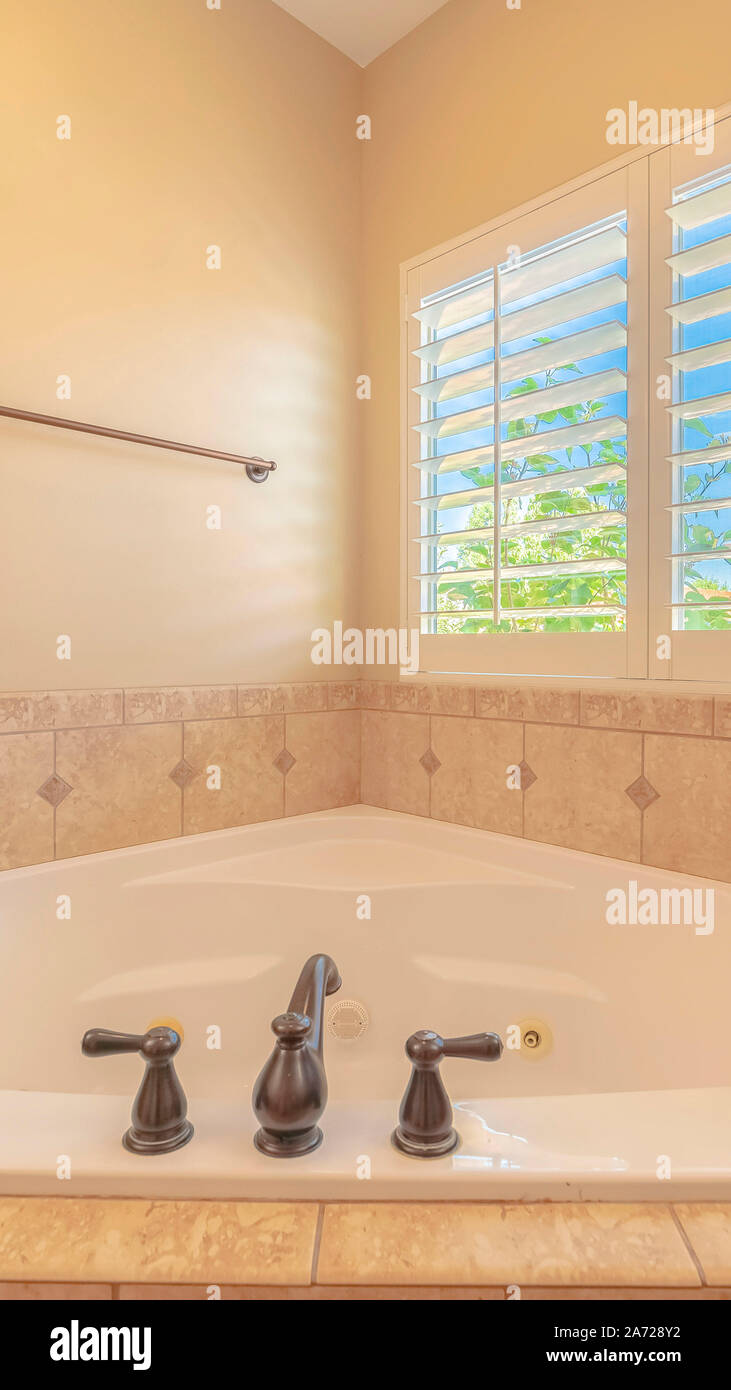 Vertical Spa bath with window light in contemporary home Stock Photo ...