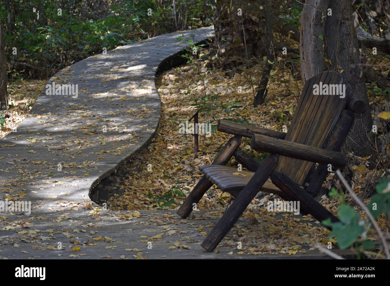 Wooden Bench in the Forest Stock Photo - Alamy